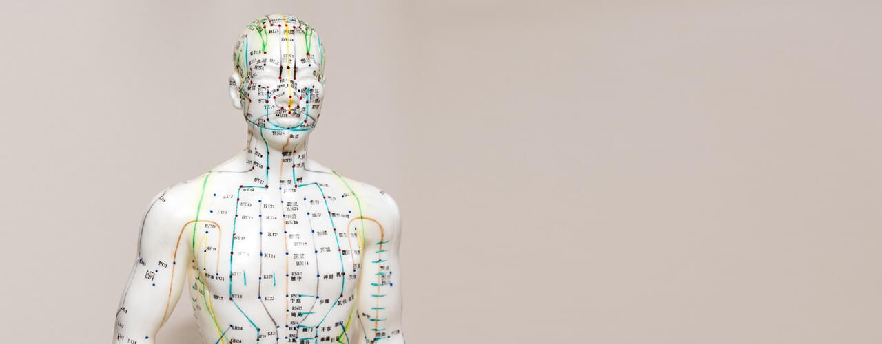 How Acupuncture Works: Understanding the Science Behind It | Anatomy ...